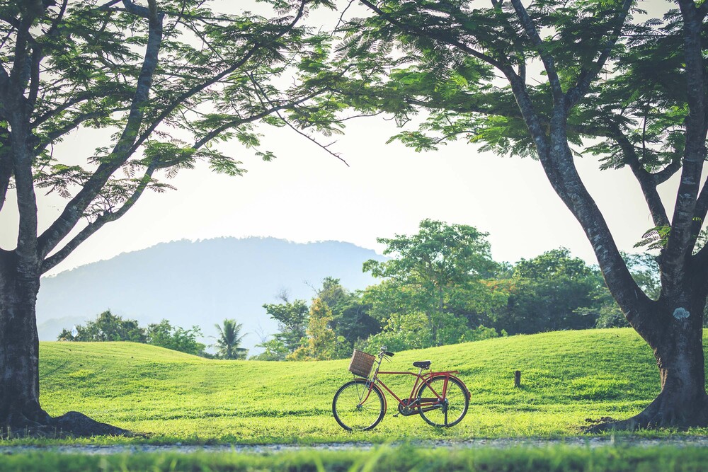 FCS Innovative Model GENTREX - Master The Code For The Path To Net Zero ...